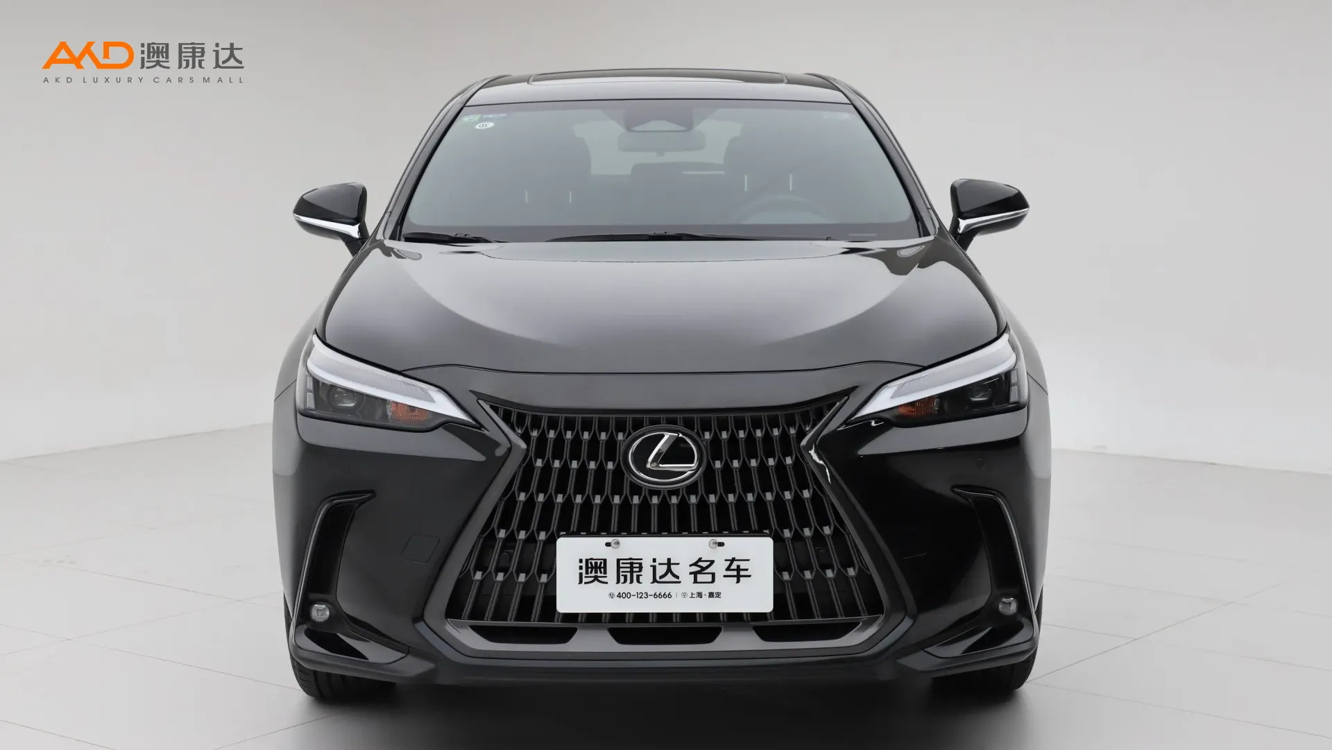 2022款雷克萨斯NX260，车身外观、胎铃、后尾箱图片澳康达名车广场