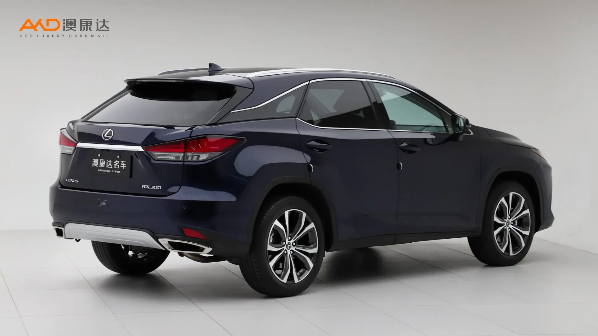 2020款雷克萨斯RX300，车身外观、胎铃、后尾箱图片澳康达名车广场