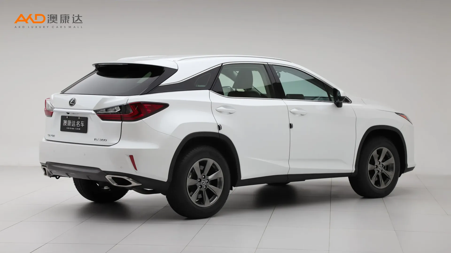 2016款雷克萨斯RX300，车身外观、胎铃、后尾箱图片澳康达名车广场